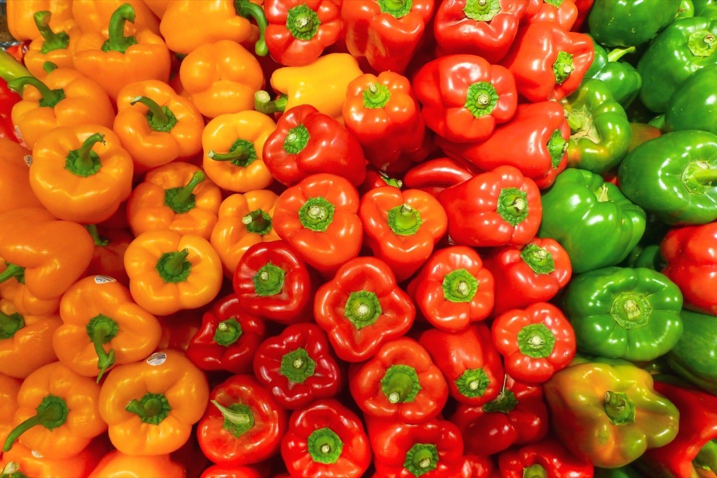 Pimiento (Capsicum annuum) - Ficha de planta - Floralia